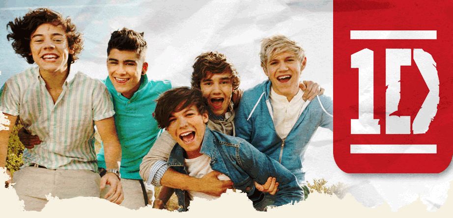What Our Essay Contest Taught Us About One Direction's Many Devoted ...