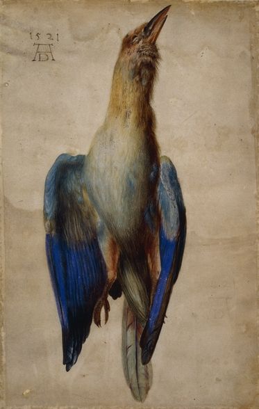 Church of the Victorian Cult: My Dear Dead Blue Bird (FOR C)