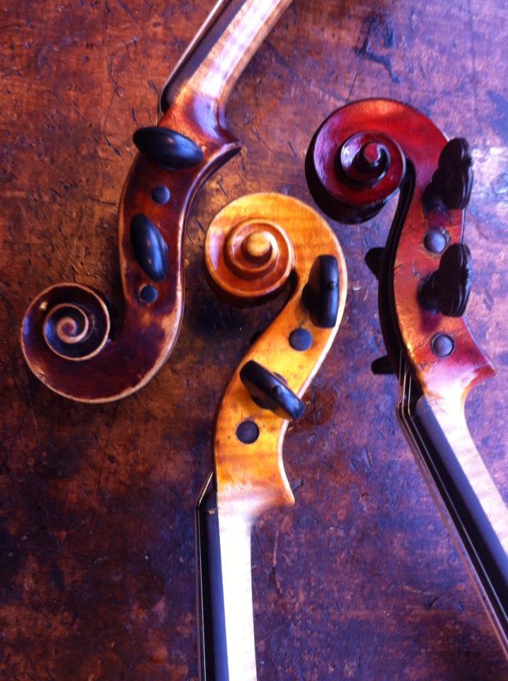 The Violin Shop: Why Scrolls?
