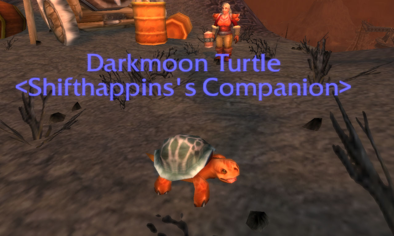 WOW Companion Collector: Darkmoon Turtle (rare lvl 1)