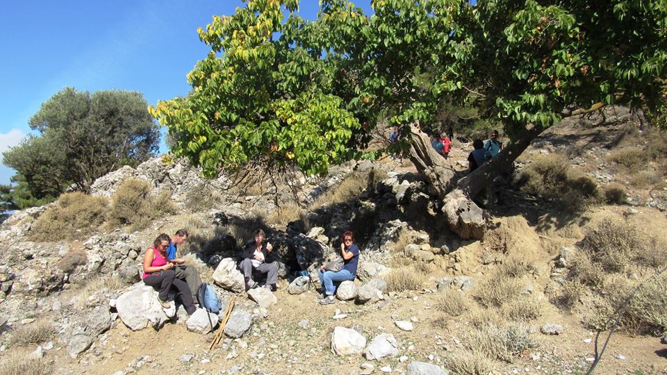 EXPLORE MOUNTAINS: ΠΕΖΟΠΟΡΙΑ ΣΤΟ ΔΑΣΟΣ ΤΗΣ ΘΡΥΠΤΗΣ