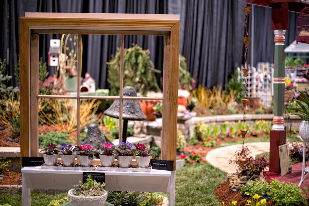 Flower Show is Cure for Cabin Fever | Frau Zinnie
