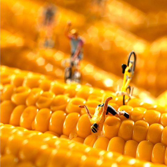 Laugh Gags: Excellent Food Macro Photography