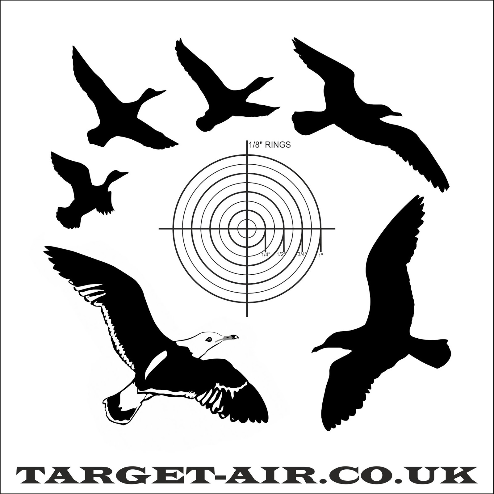 Распечатай и Стреляй!: Мишень с птицами. Target with birds.