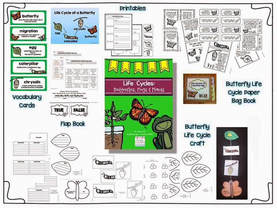 Life Cycles Unit is Ready!