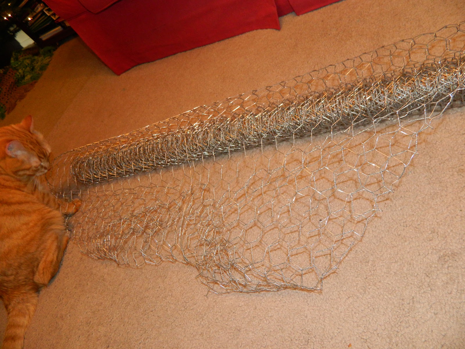 Polka-Dotty Place: My 1st Project with Chicken Wire