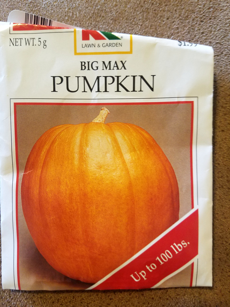 Desert Survivor: The Great Pumpkin Growing Contest