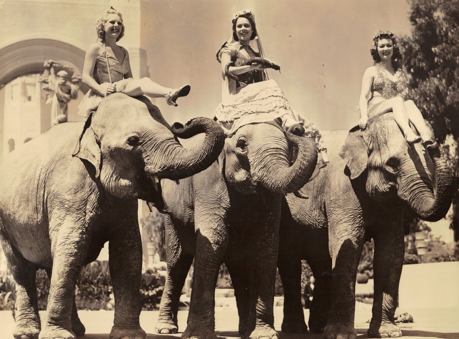 Buckles Blog: #9 Movies!