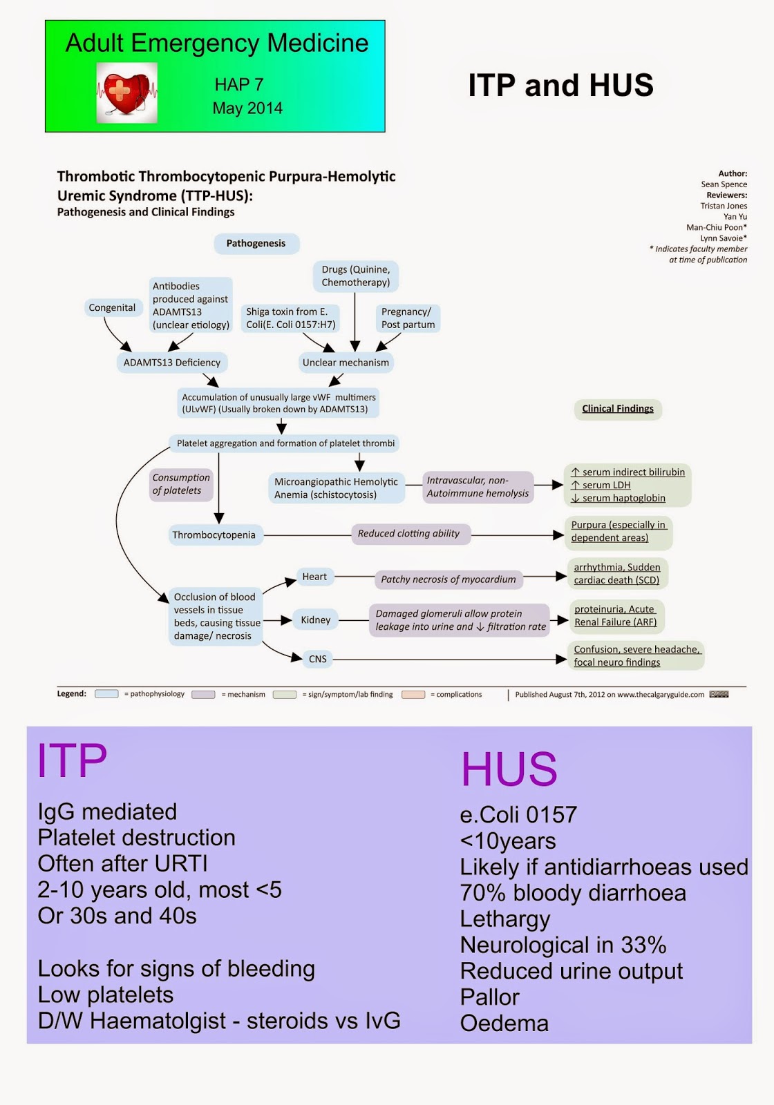 Adult Emergency Medicine: Idiopathic Thrombocytopenic Purpura