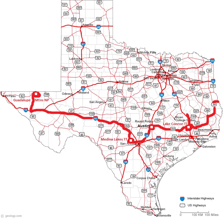 The Pauls' Revolution : Florida to Texas