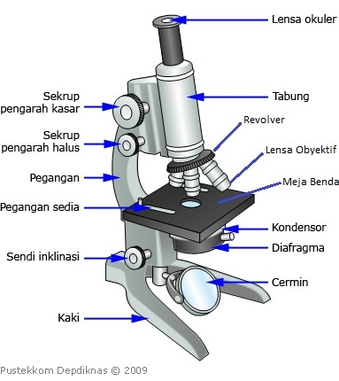 Mikroskop Dan Bagian Bagiannya | MATERI | SOAL BIOLOGI SMP SMA REMBANG