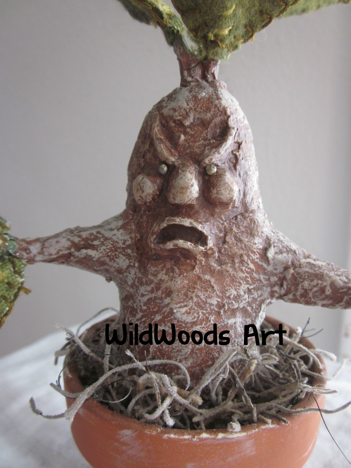 The Land of Melting Shadows: Mandrake