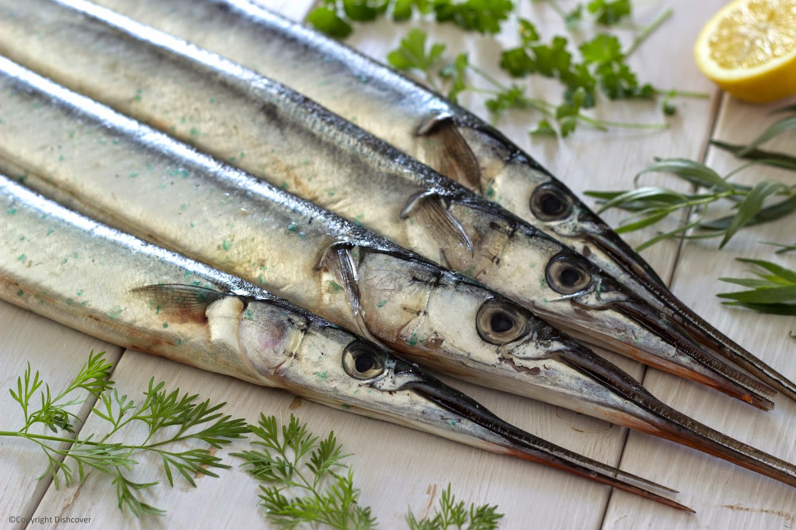 Meivis in ‘t groen - Dishcover