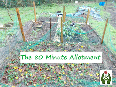 The Green Fingered Blog: Allotment planting plan - a step by step guide
