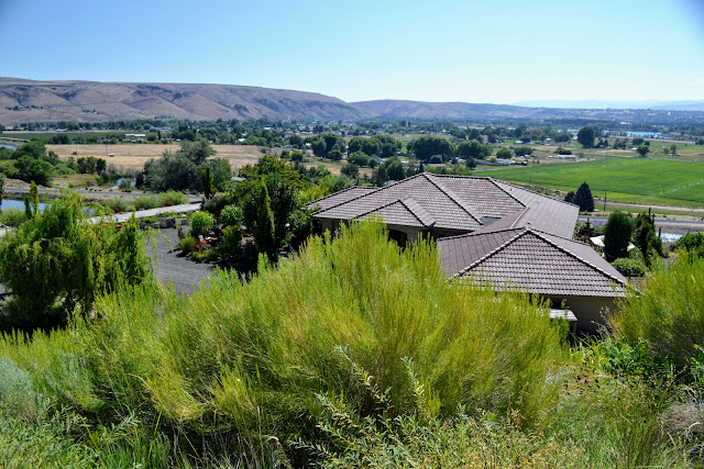 The Outlaw Gardener: The Garden of Rick Main and Kim Brewer