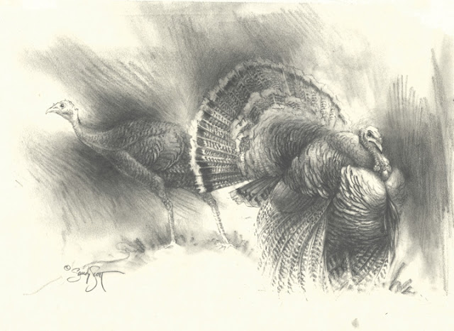 Sandy Scott Art: #687 Wild Turkey Review