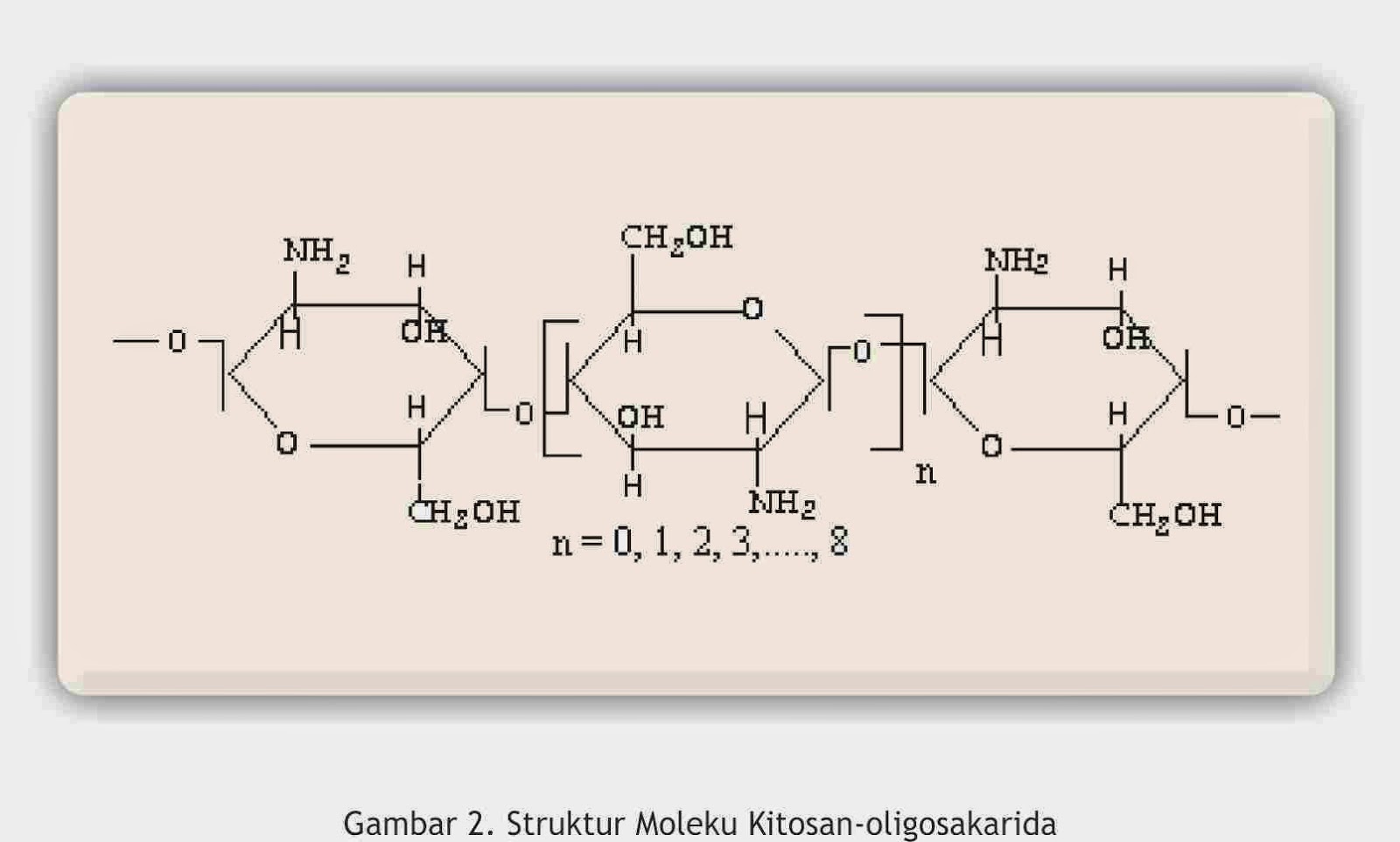 KITOSAN-OLIGOSAKARIDA VS PEMBUNUH NO.1 DI INDONESIA
