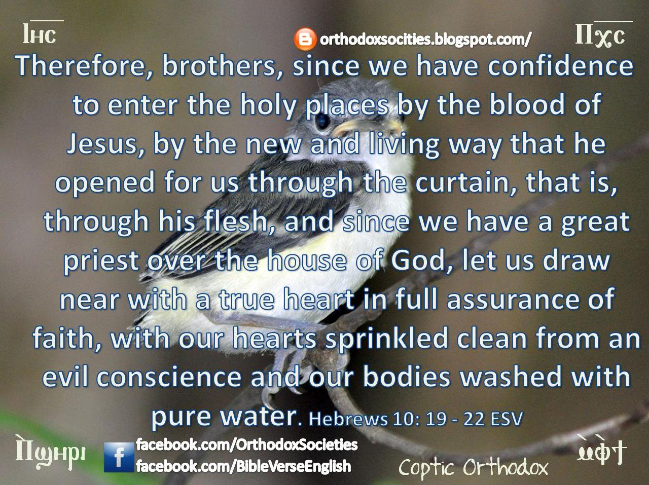 Coptic Orthodox: The Full Assurance of Faith - Verses