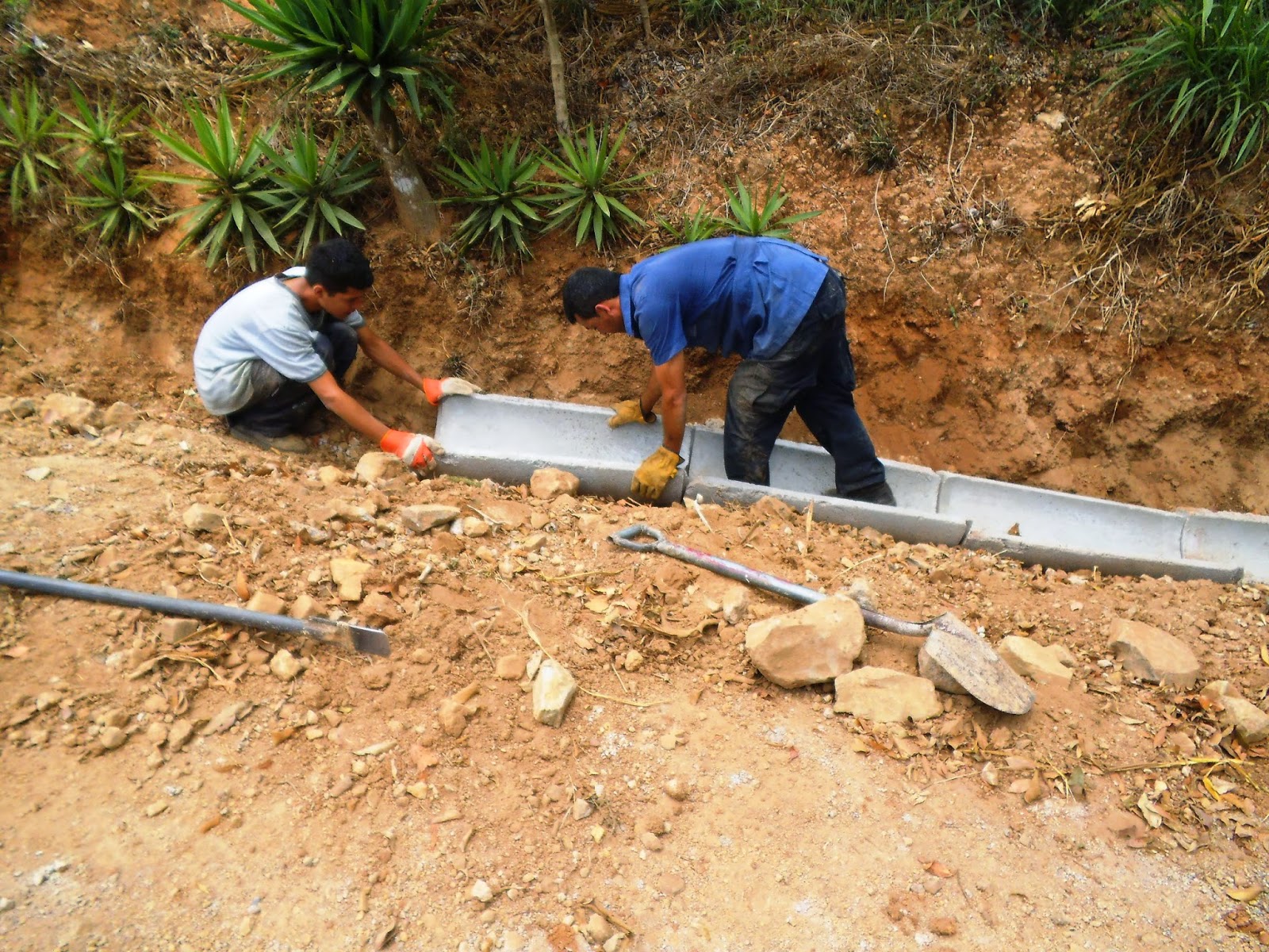 Costa Rica Rose: So...What is a Cuneta?
