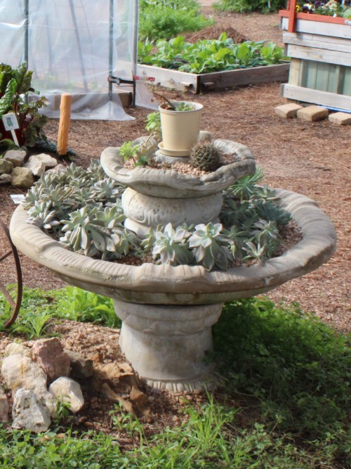 The Redneck Hippie: Gardening on the Porch