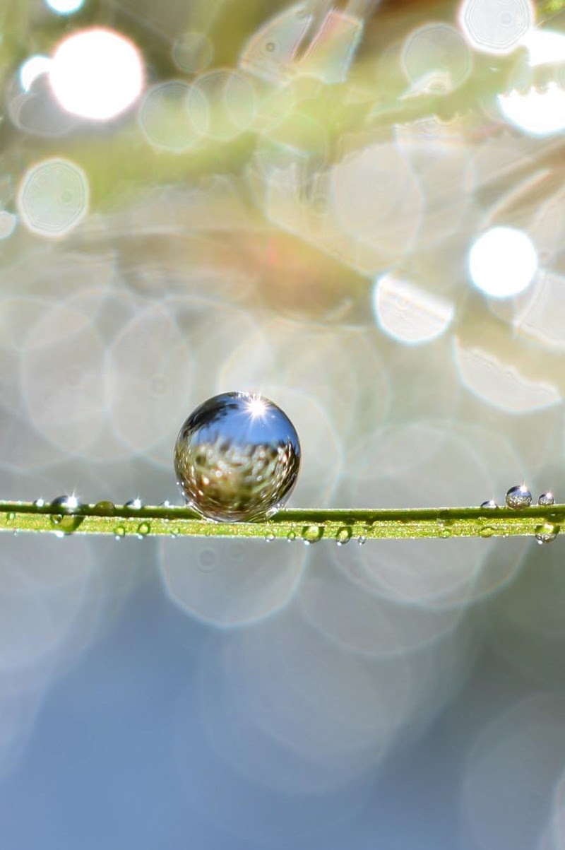 Artospective: Water Drops (Macro Photography) with Dan Mab from Australia.