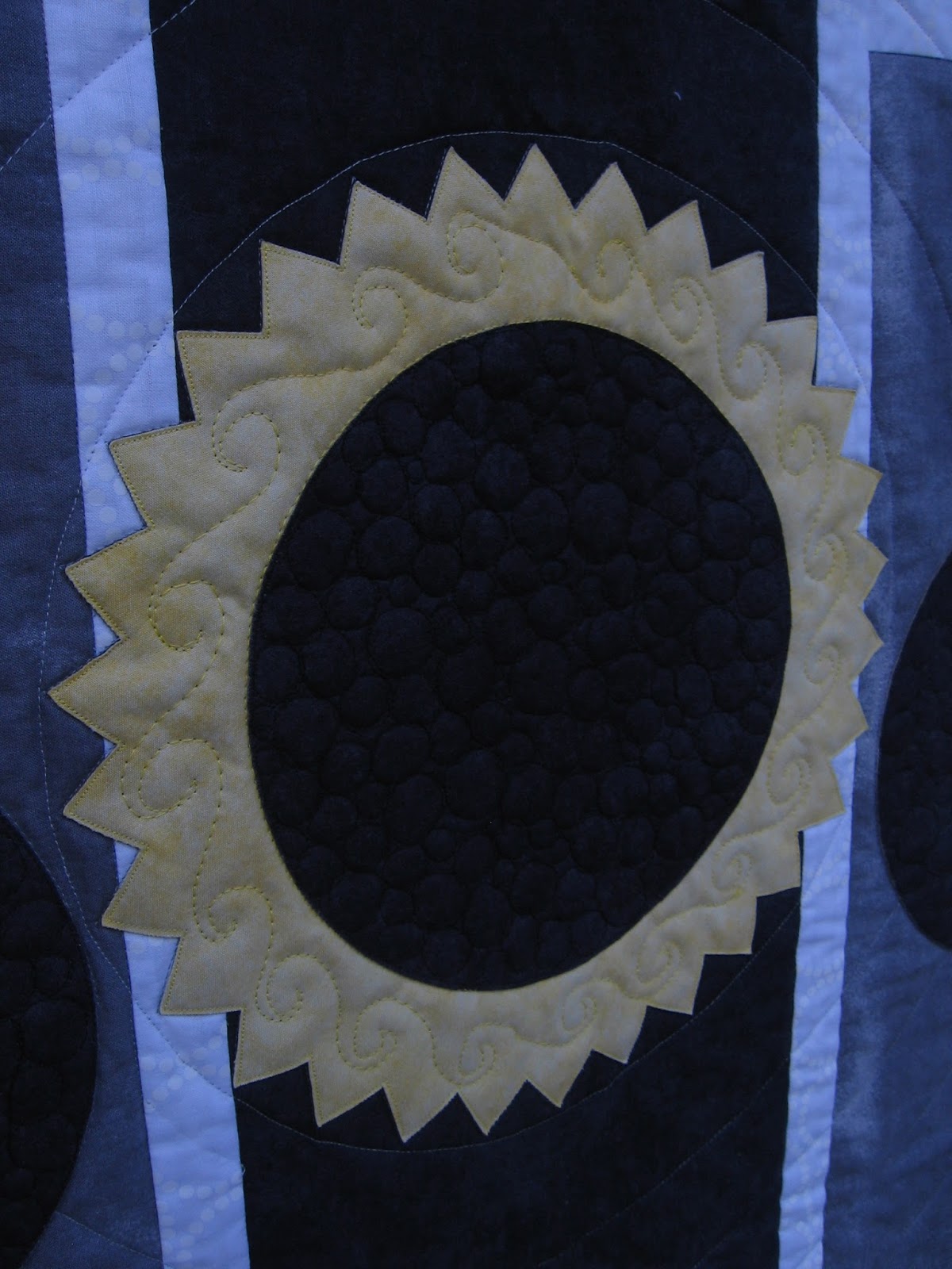 Canuck Quilter: Eclipse Sky made its debut!