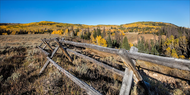 The World As I See It: Uinta Fall Colors 1