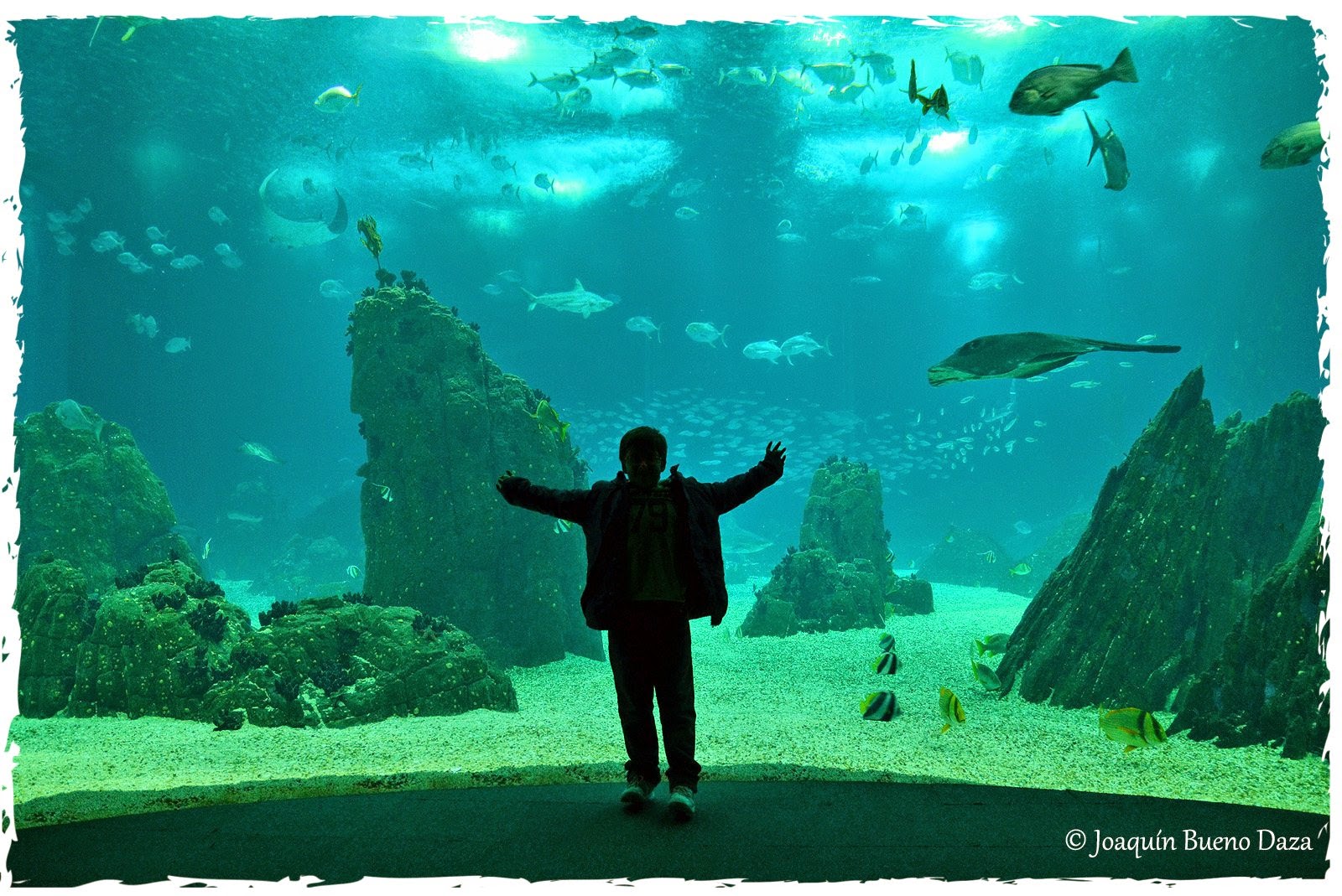 Polvo somos y en foto nos convertiremos: Inmersión.