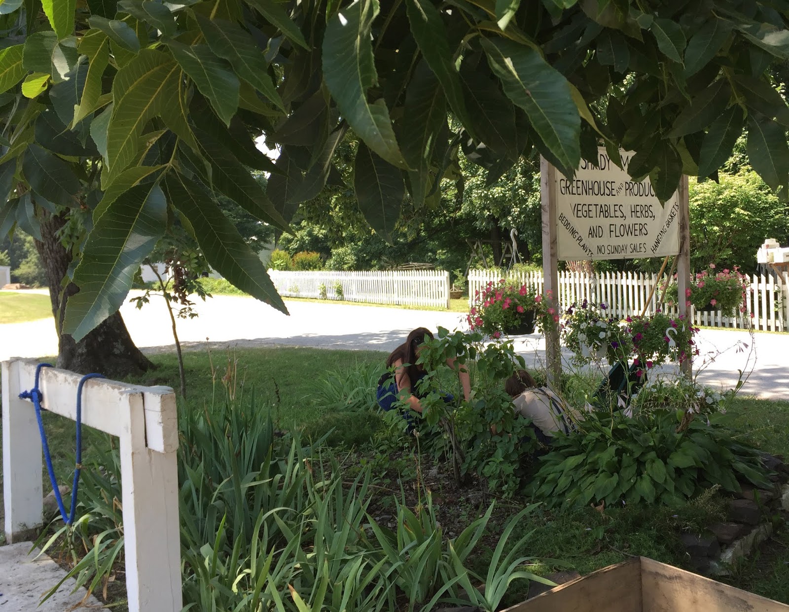 Snug Harbor Bay: Amish Community Marion, KY