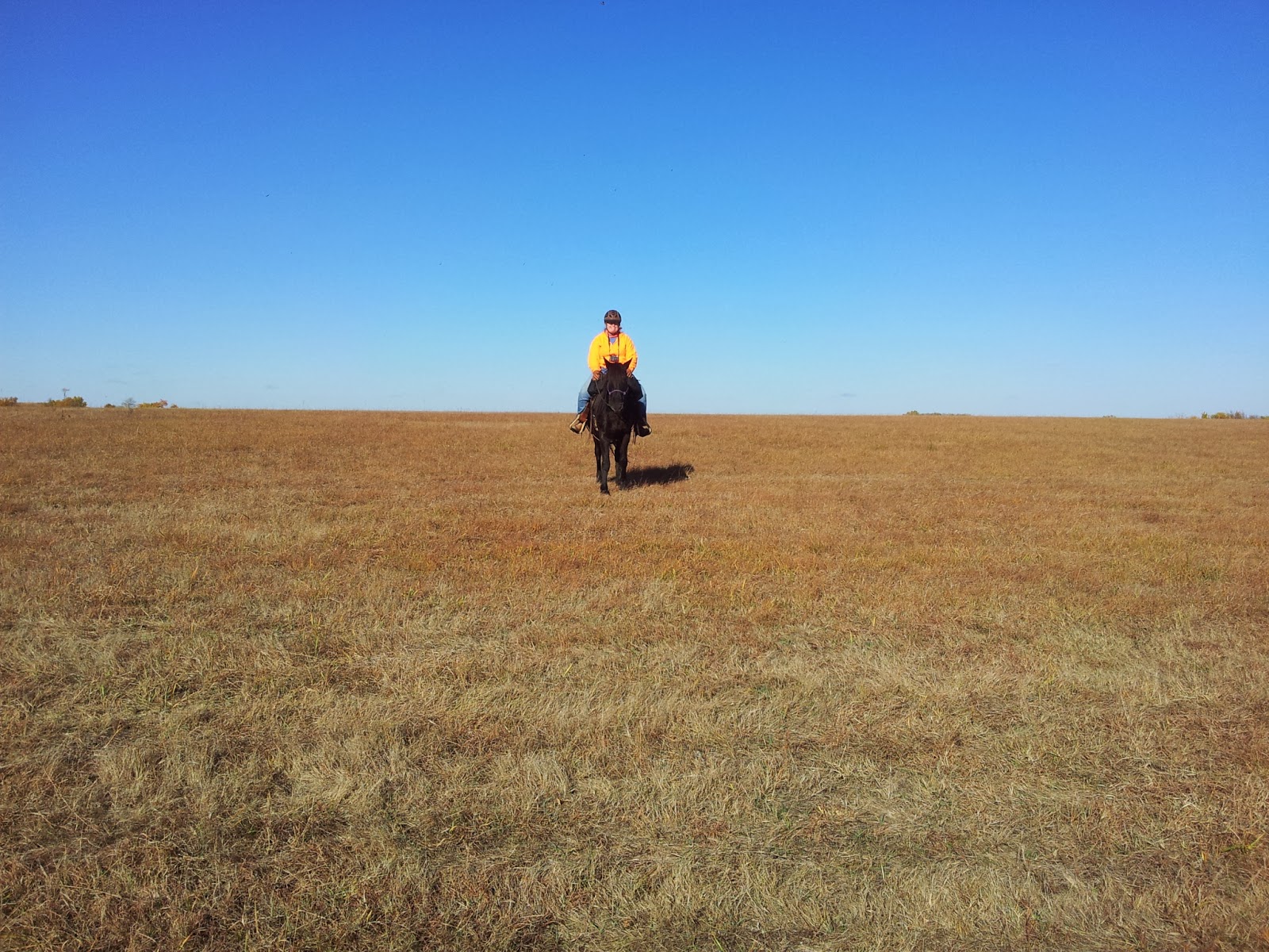 Mustang Dreams....: November 2, 2013...ride at Eisenhower State Park in ...