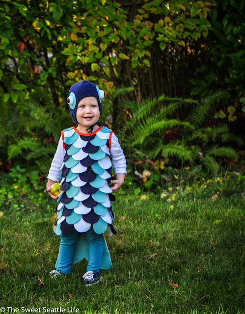 Chris and Sonja - The Sweet Seattle Life: DIY Tropical Fish CostumeTutorial