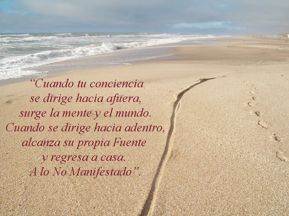 VIDA Y MÚSICA: LA IMPERMANENCIA Y LOS CICLOS DE LA VIDA