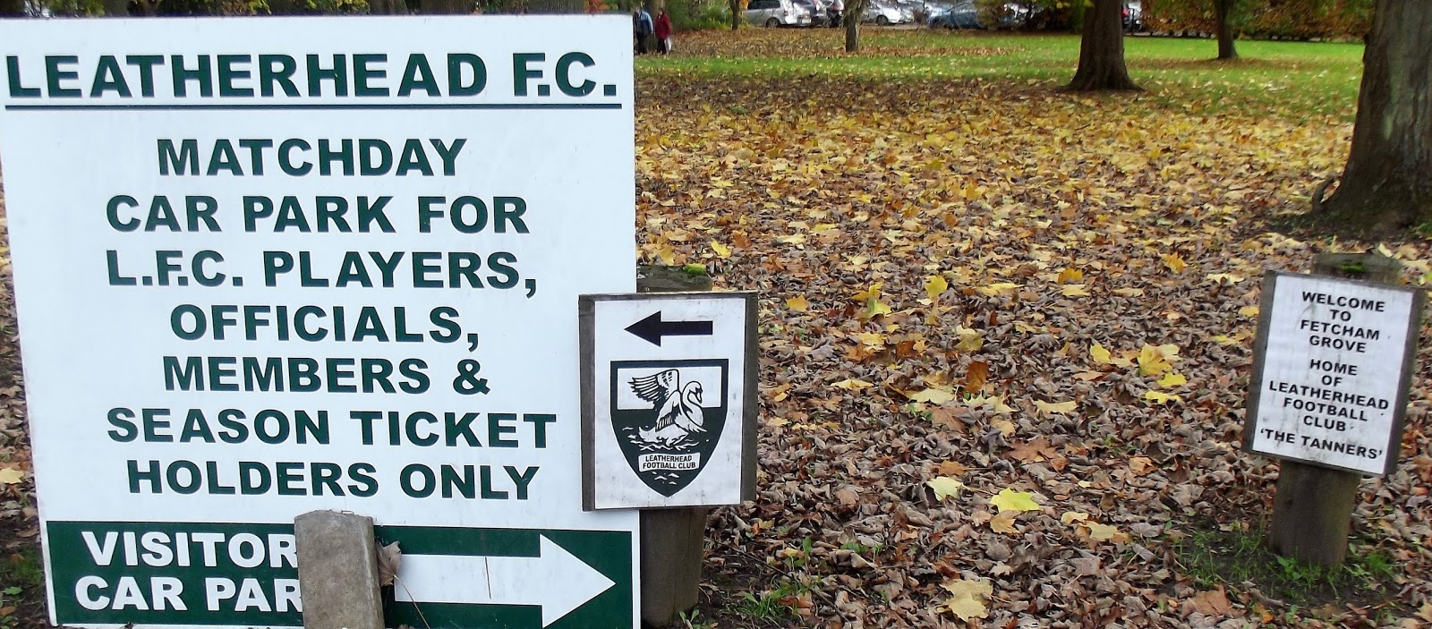 The Wycombe Wanderer: Leatherhead - Fetcham Grove