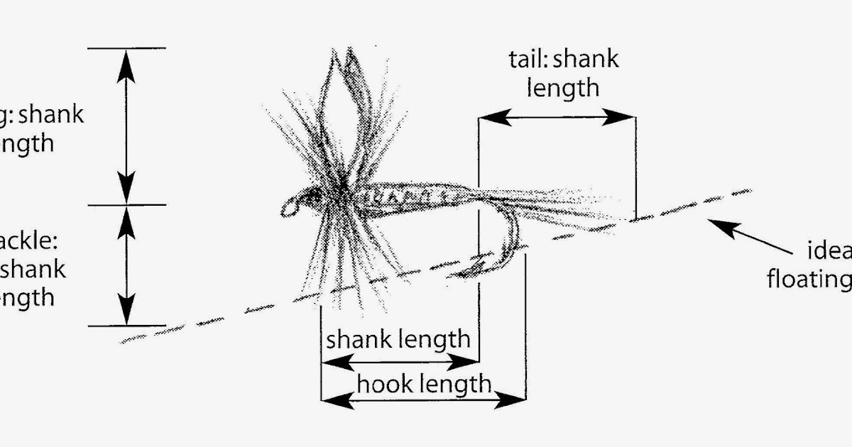 Fly Fishing with Doug Stewart: Fly Tying Proportion Illustrations