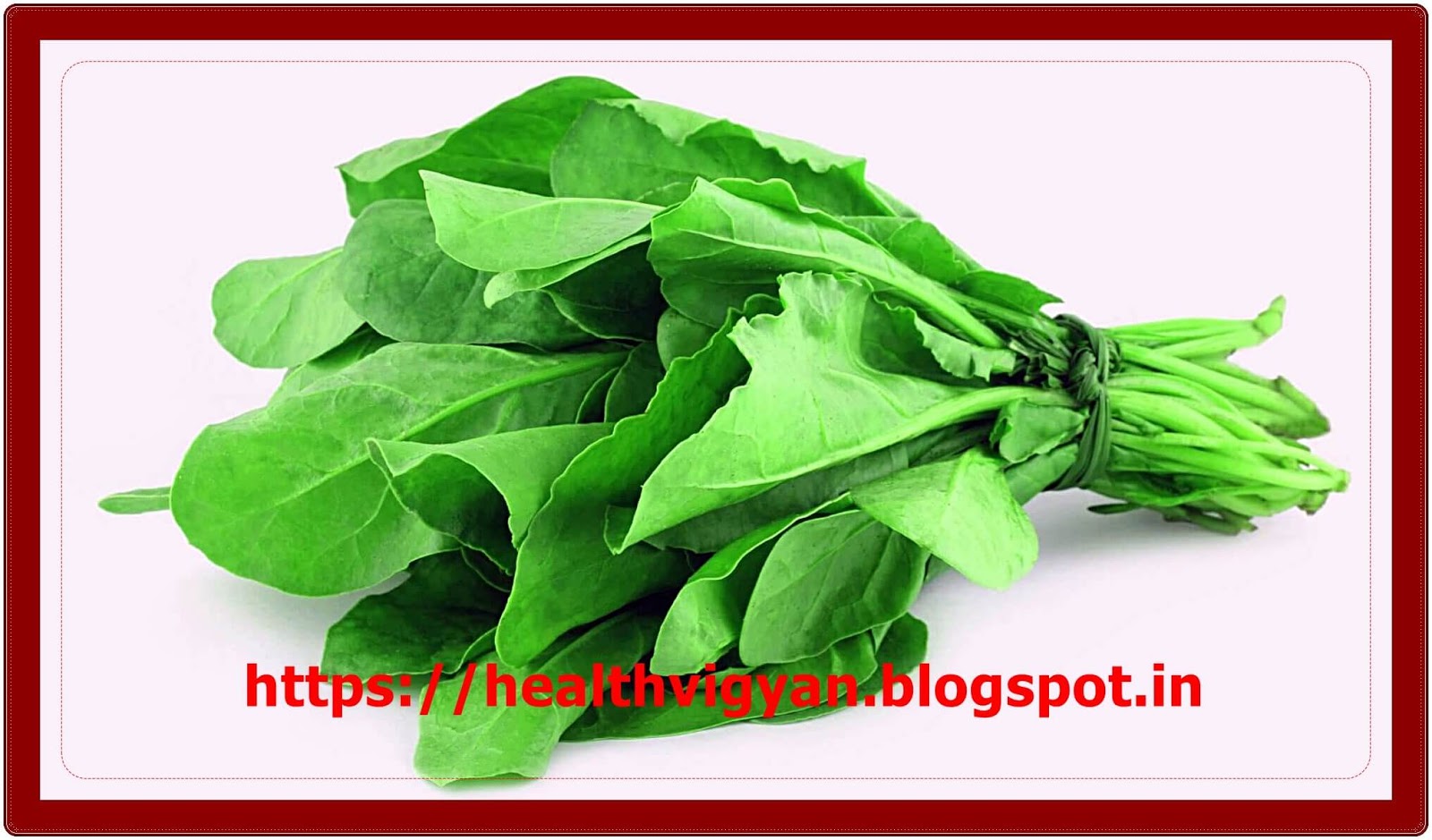 पालक के फायदे,Health Benefits of Spinach in Hindi, - Gharelu nushkhe ...