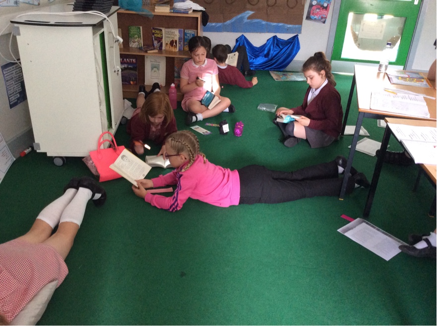 4DB Class Blog