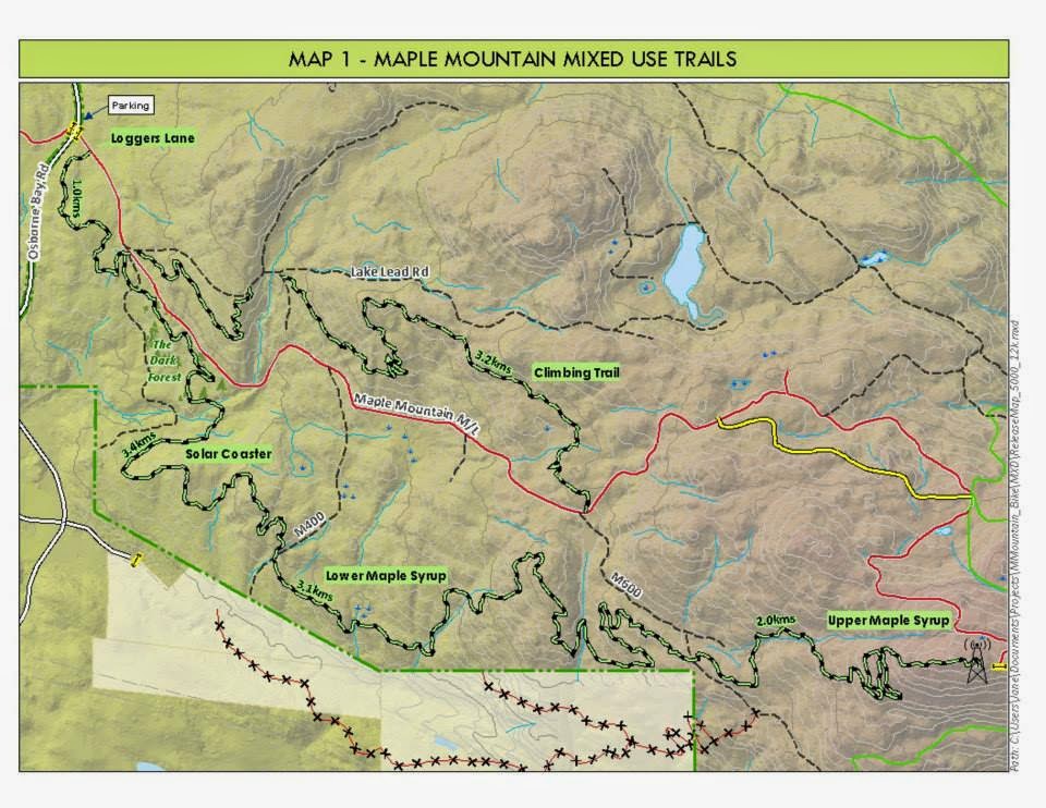 Wild Seads: Sweet and Sticky: Maple Syrup Trail
