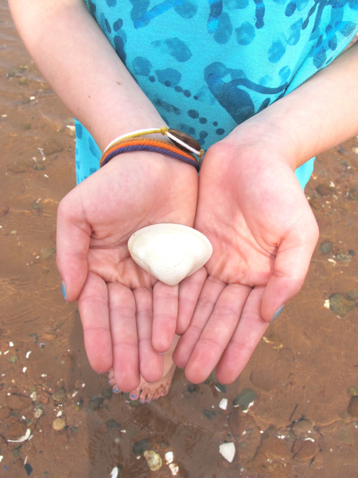 beach crafts - seashell canvasses - Paper Parade Co.