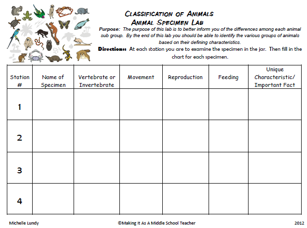 Classroom Freebies Too: Science Freebie ~ Animal Specimen Lab Sheet