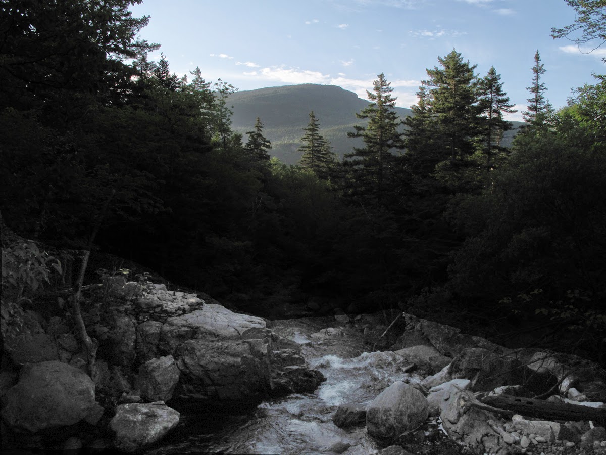 White Mountain Sojourn: 7-03-14 Mt. Washington, Lion Head, Alpine ...