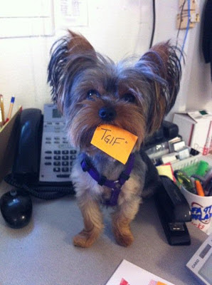 The Teacher's Pets: T.G.I.F.!!!