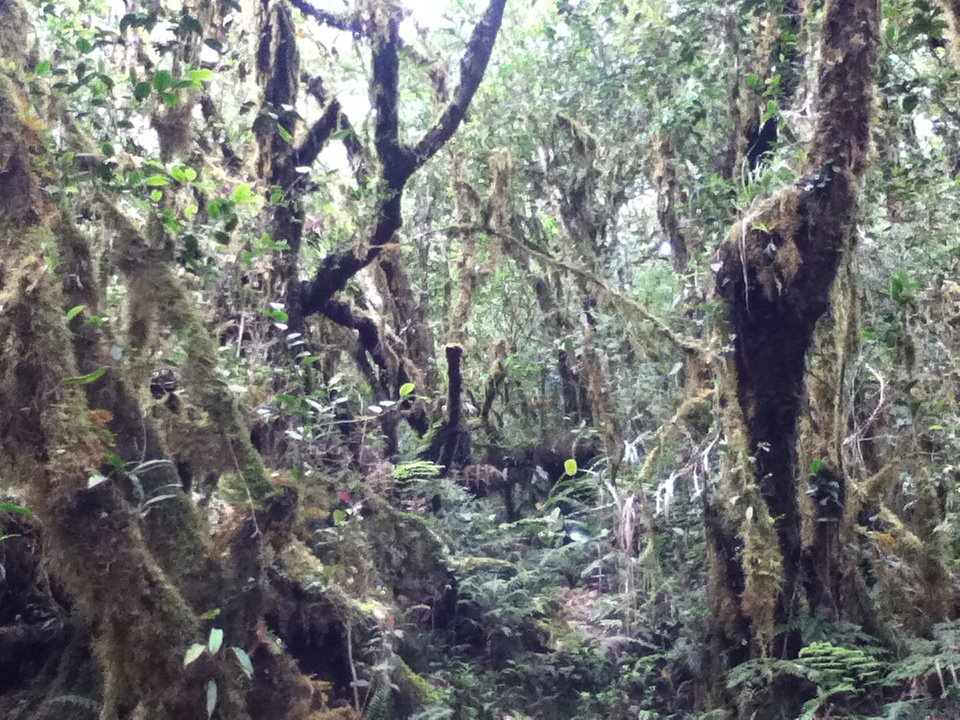 A day in the Hike: Napulauan Traverse : Hungduan to Hapao