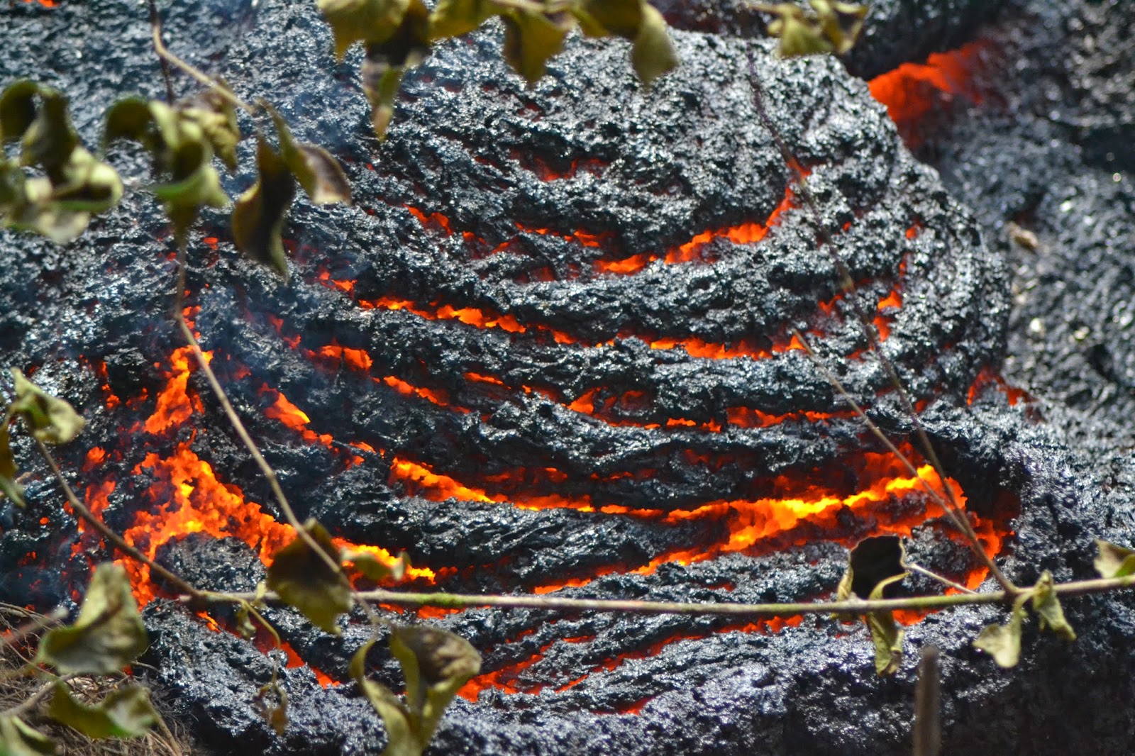 Family Travel Blog : Hawaii Daily Photo: Lava monster
