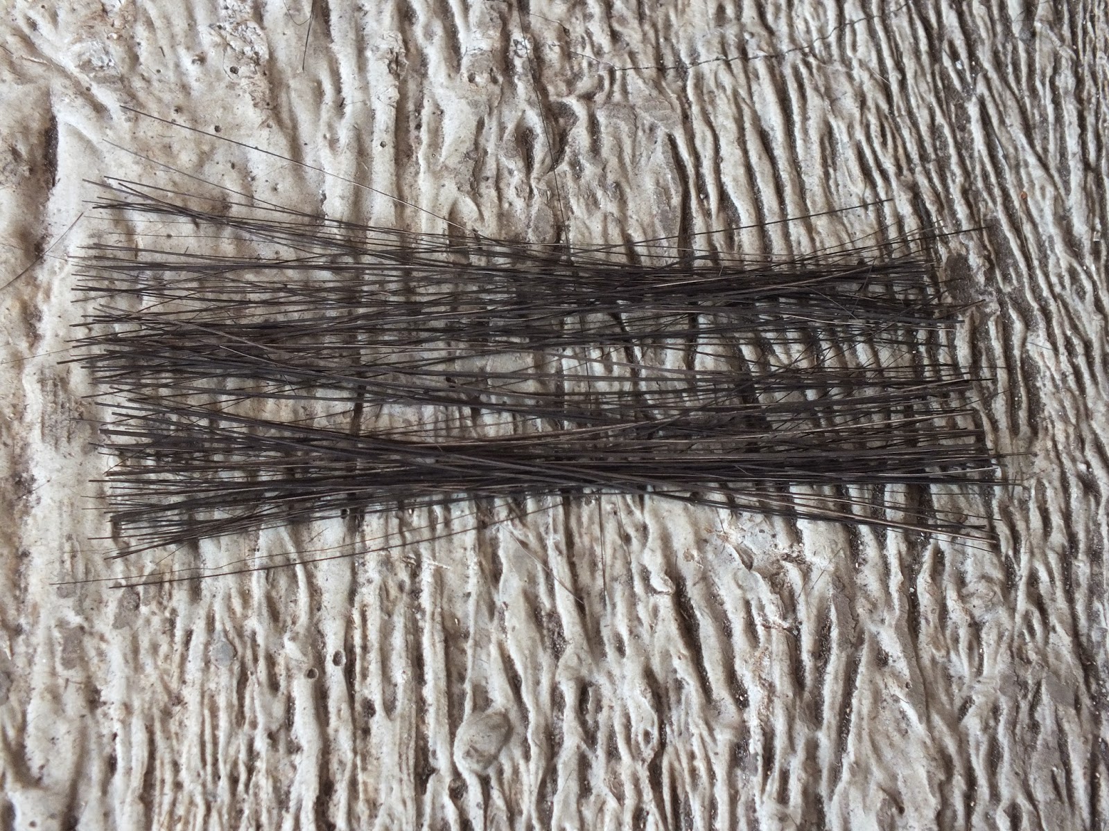 TENTANG IJUK: Membatik Tulis, Jangan Lupa Ijuk