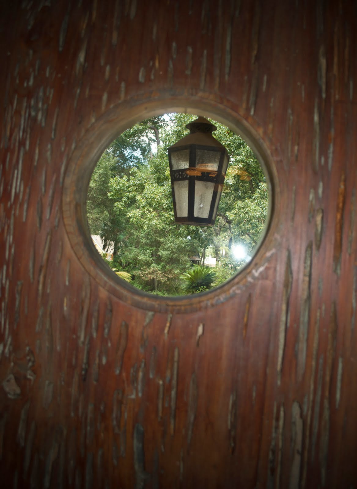 Old Florida: Sam Stoltz for Sale