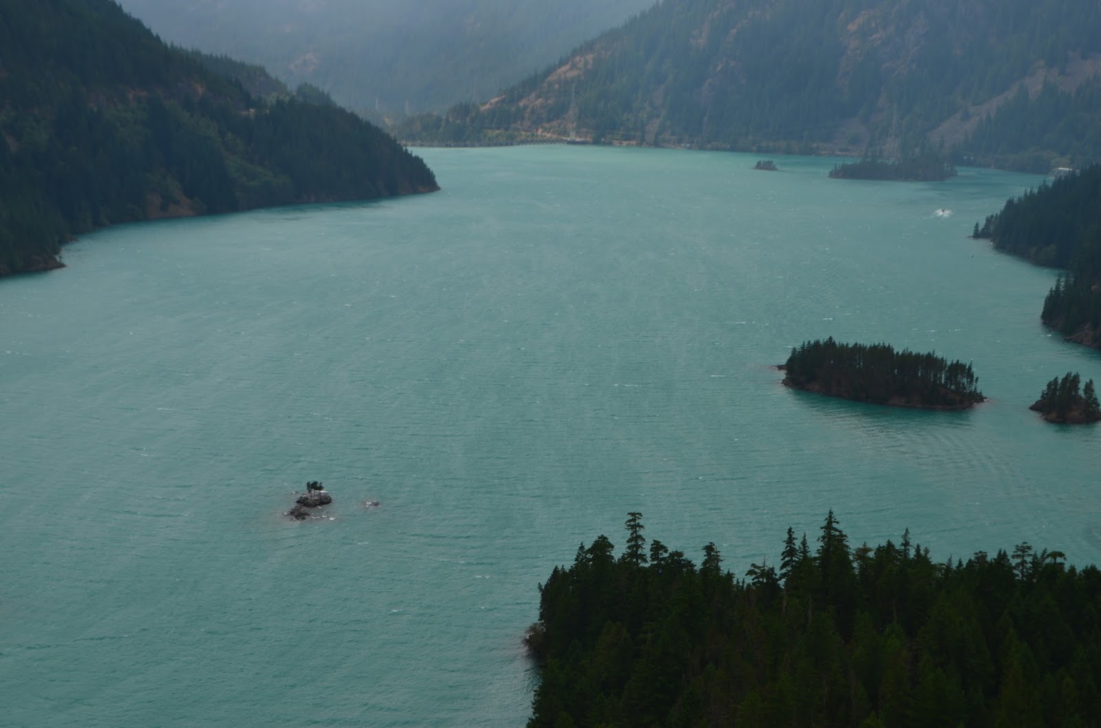 Rambling Rayna: Fruit, Fires & Forests