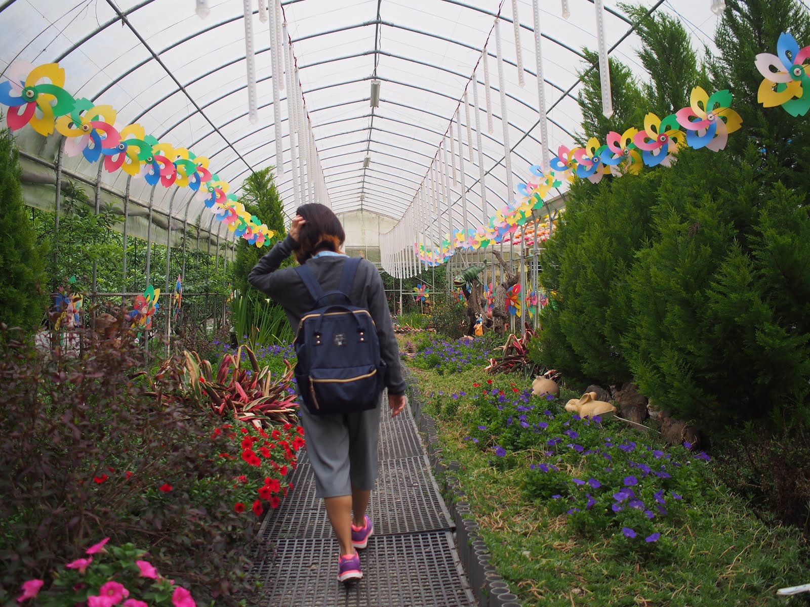 4 Ways To Spend 2D1N Around Cingjing Farm, Nantou, Taiwan - Jiahui Muses