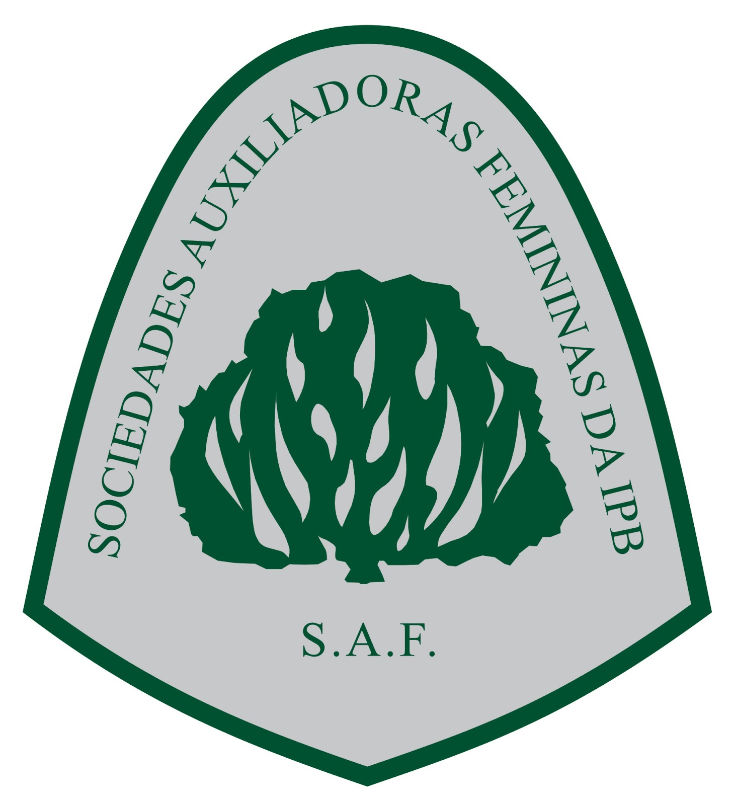 Blog da Sinodal de SAFs - Noroeste da Bahia: 11 de Novembro - Dia ...