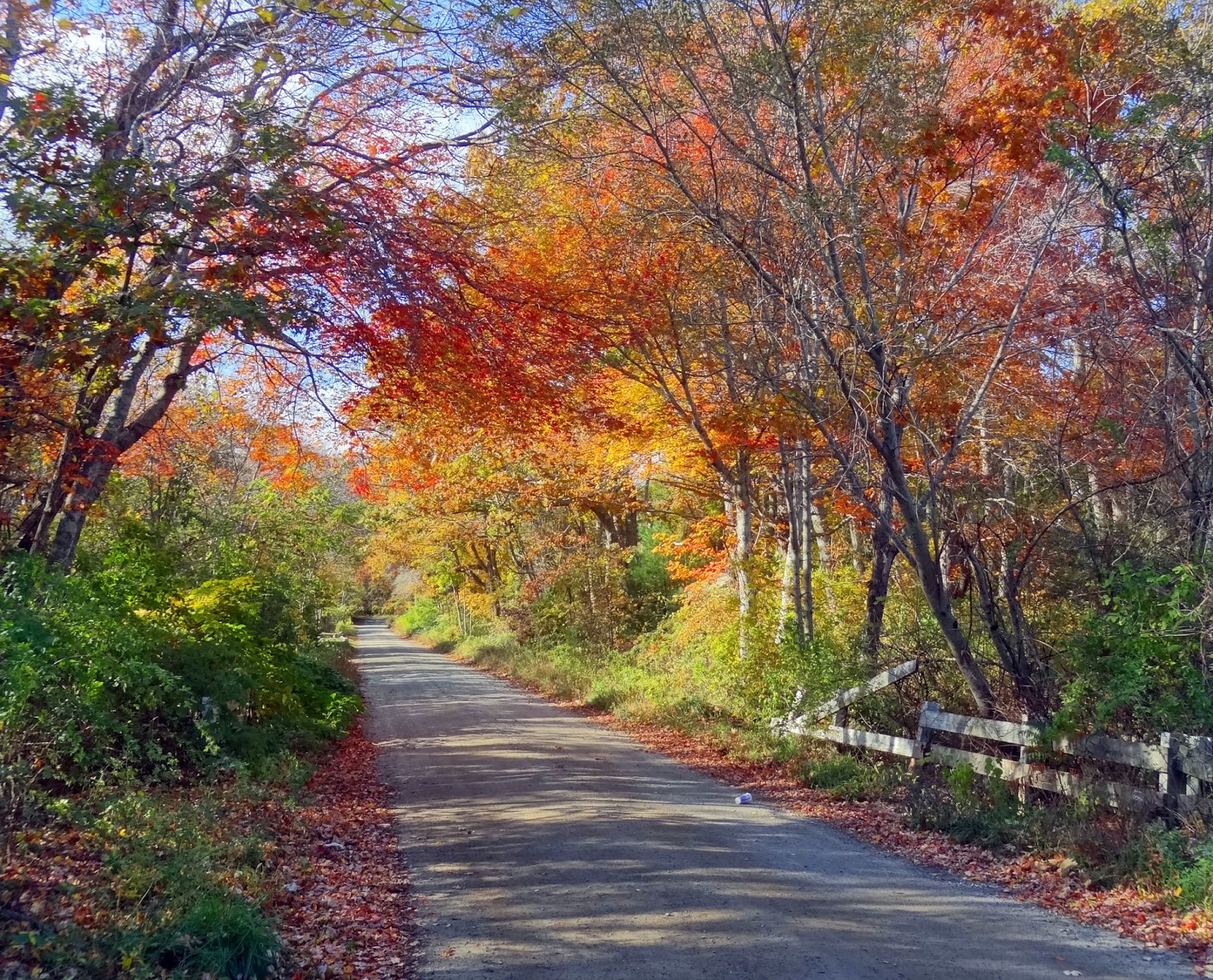 Joe's Retirement Blog: Random Fall Images, Plymouth, Massachusetts, USA