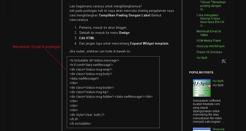 Berbagi Tutorial | Menulis Script Pada Posting